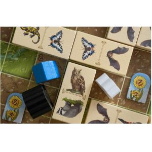 Renature Board Game – Renature Game | More Than Meeples